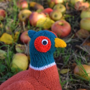Philip the Pheasant Knitting Pattern (PDF Digital Download) - Etsy UK