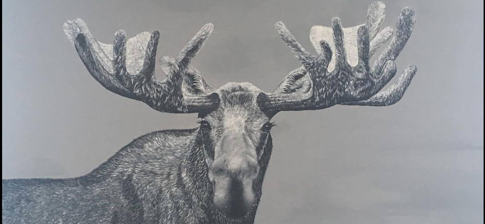 Big Hank a Negative Space Realism Moose Print - Etsy