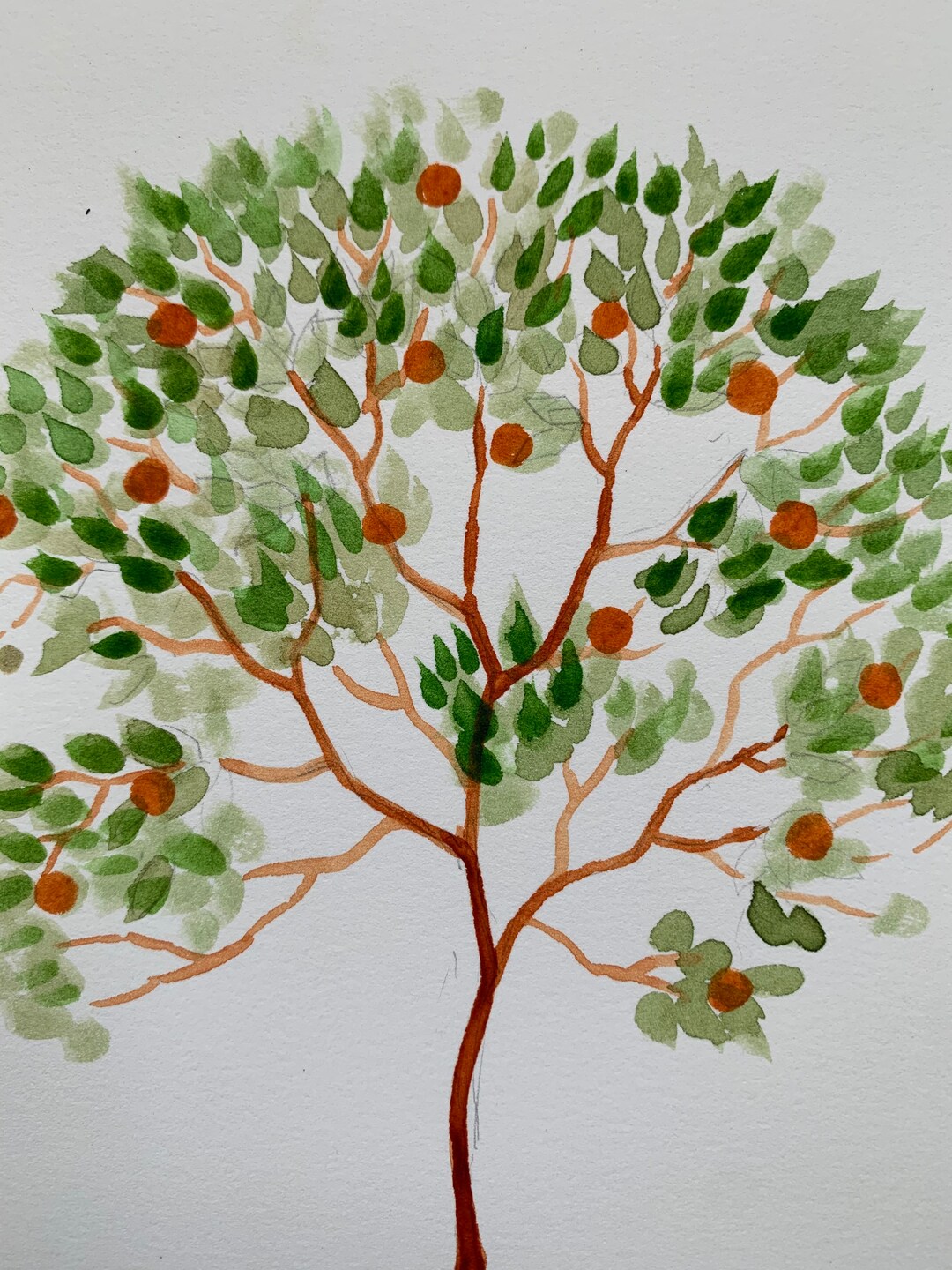 Orange Tree Watercolor - Etsy