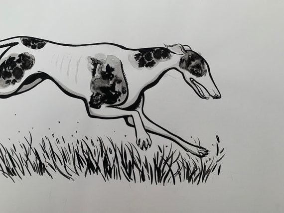 Running Greyhound Drawing