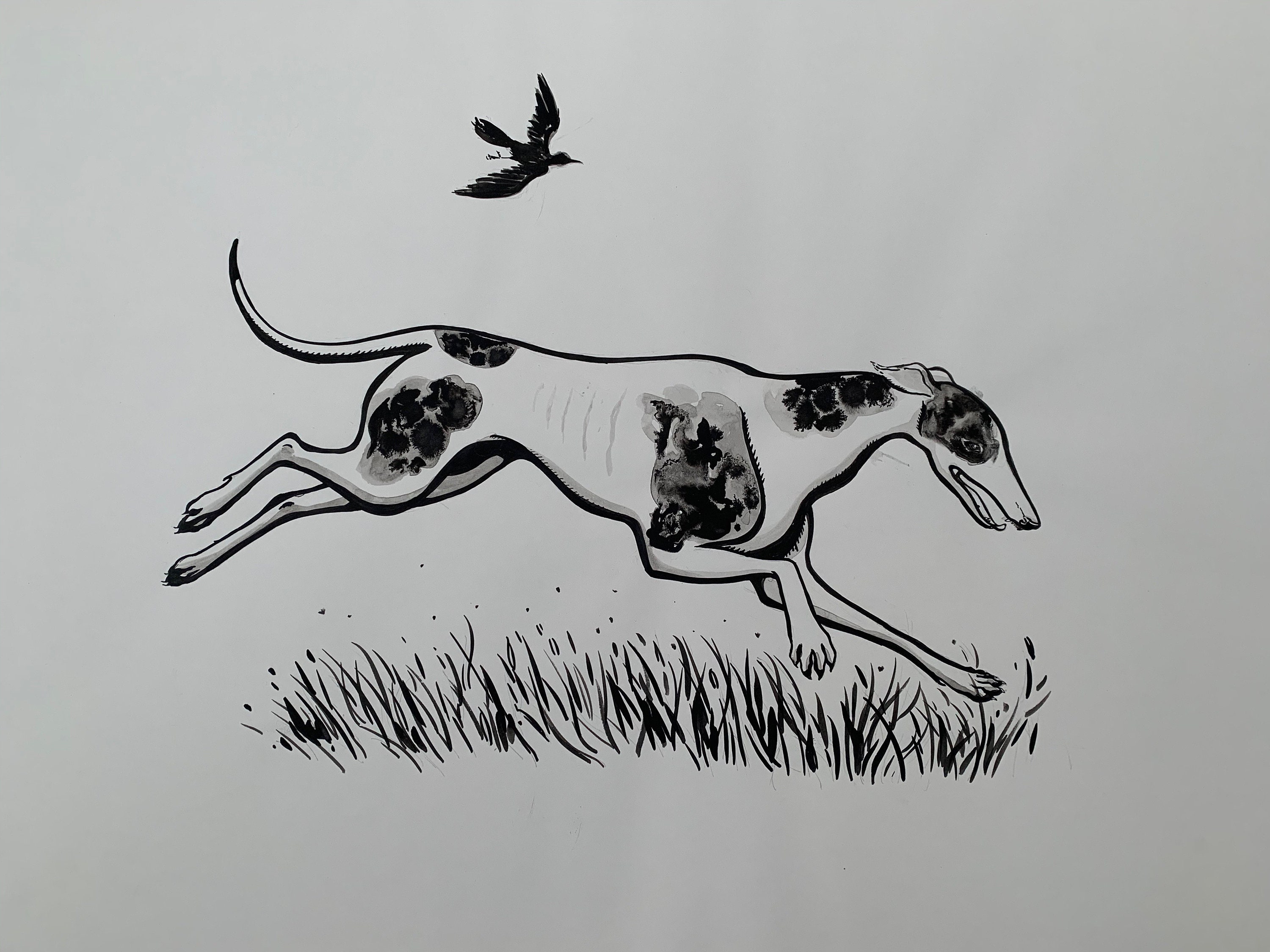 Running Greyhound Ink Drawing - Etsy