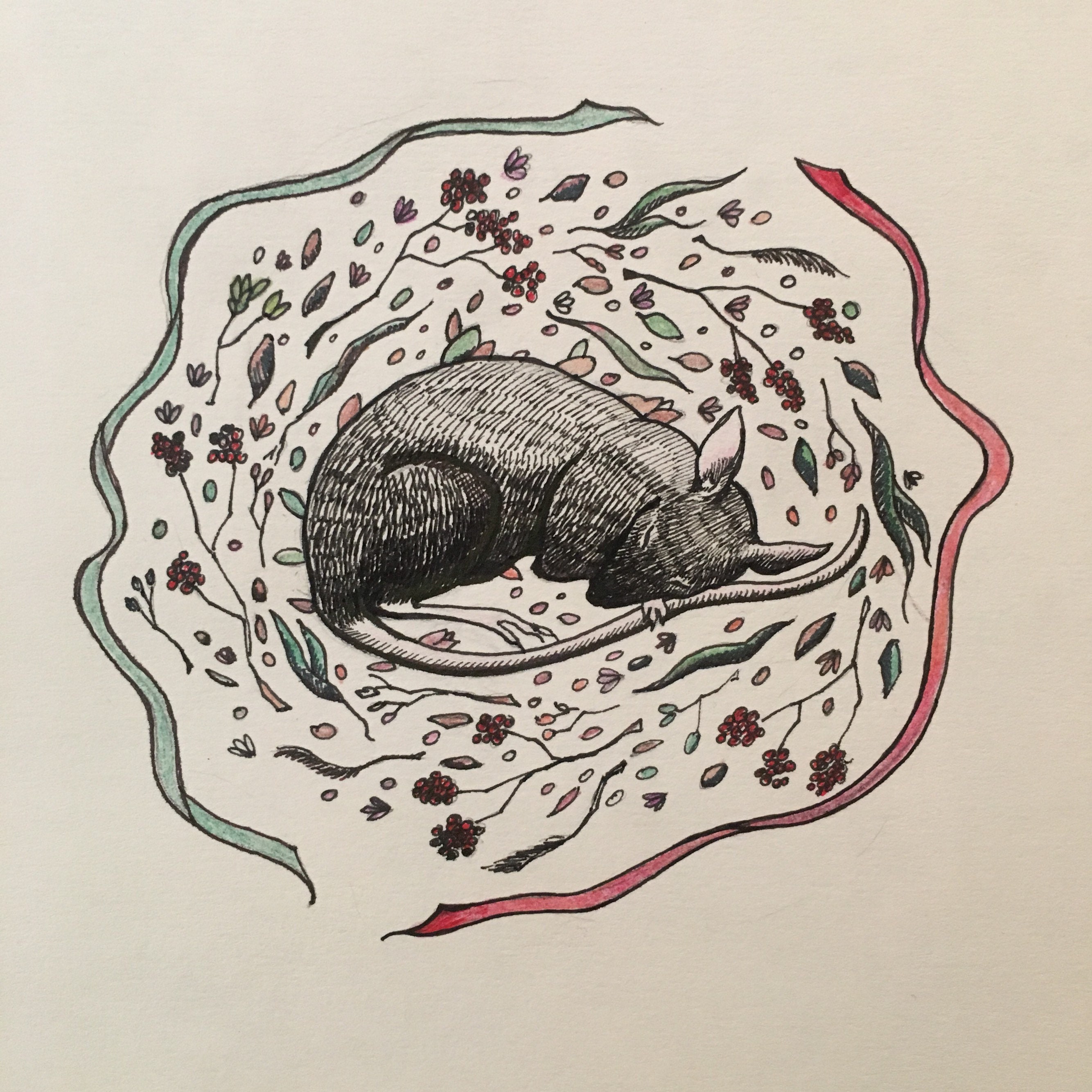 Sleeping Mouse Drawing