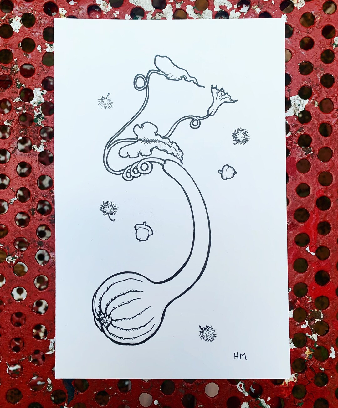 Gooseneck Squash Original Ink Drawing - Etsy
