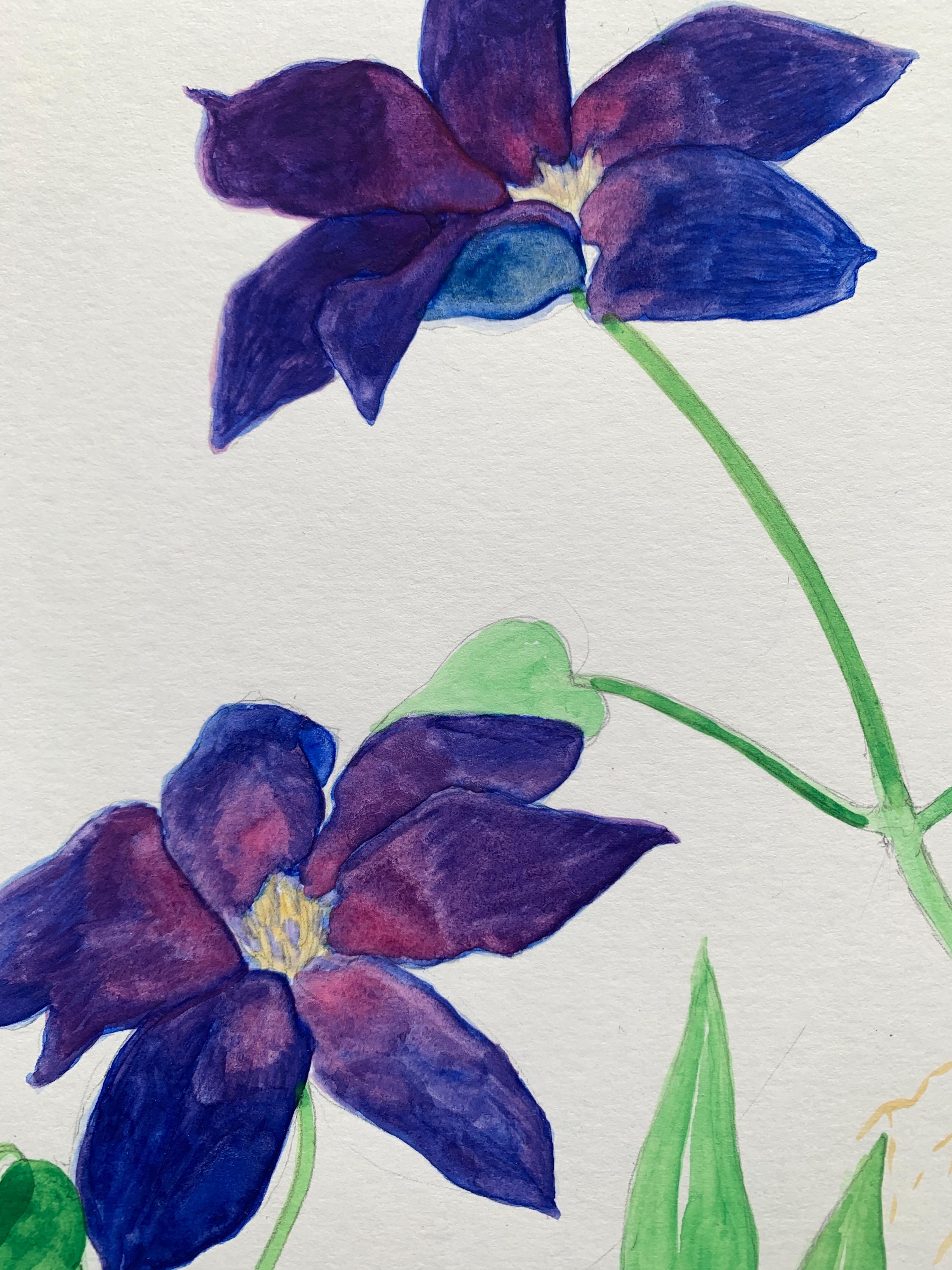 Clematis and Alliums Flower Study Original Watercolor - Etsy