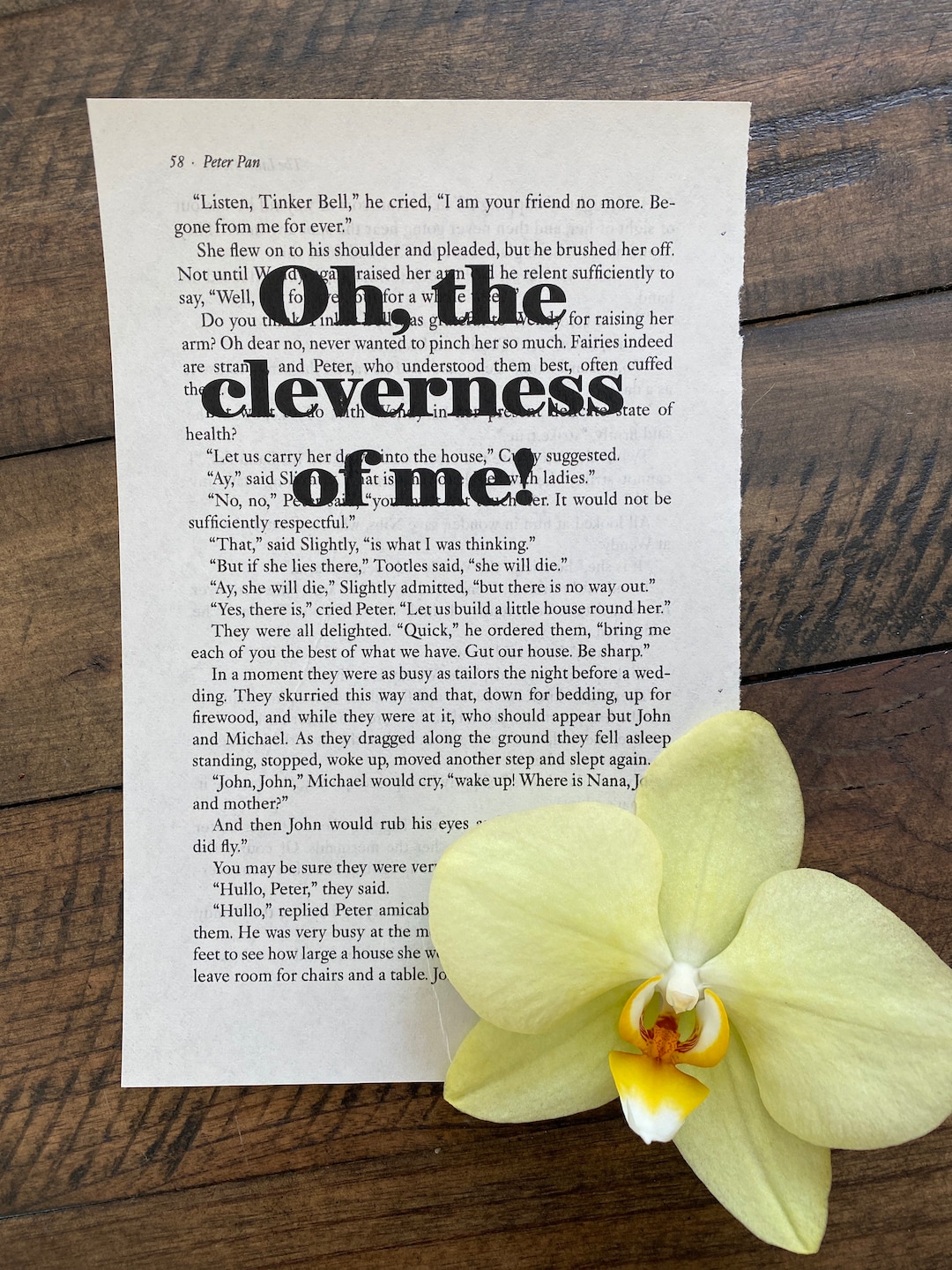 Peter Pan Upcycled Book Quote Art: Oh, the Cleverness of Me! - Etsy