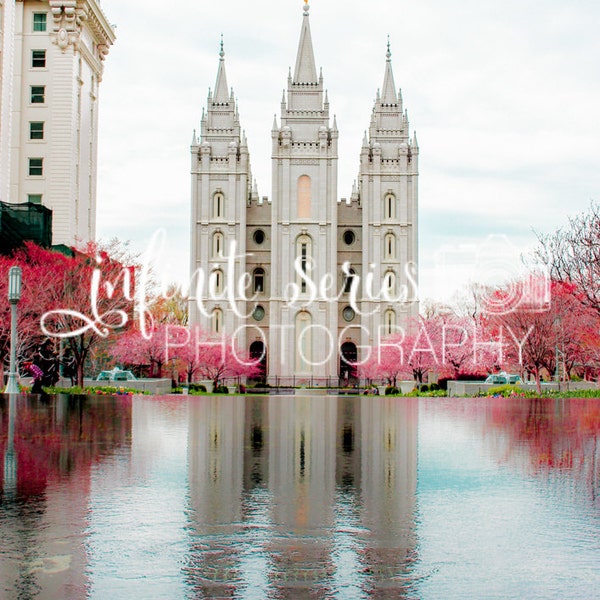 Lds Temple Canvas Art - Etsy