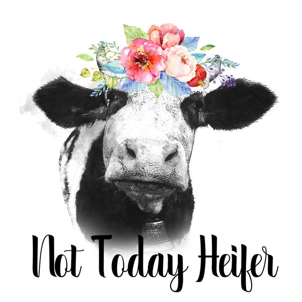 Not Today Heifer Svg - Etsy