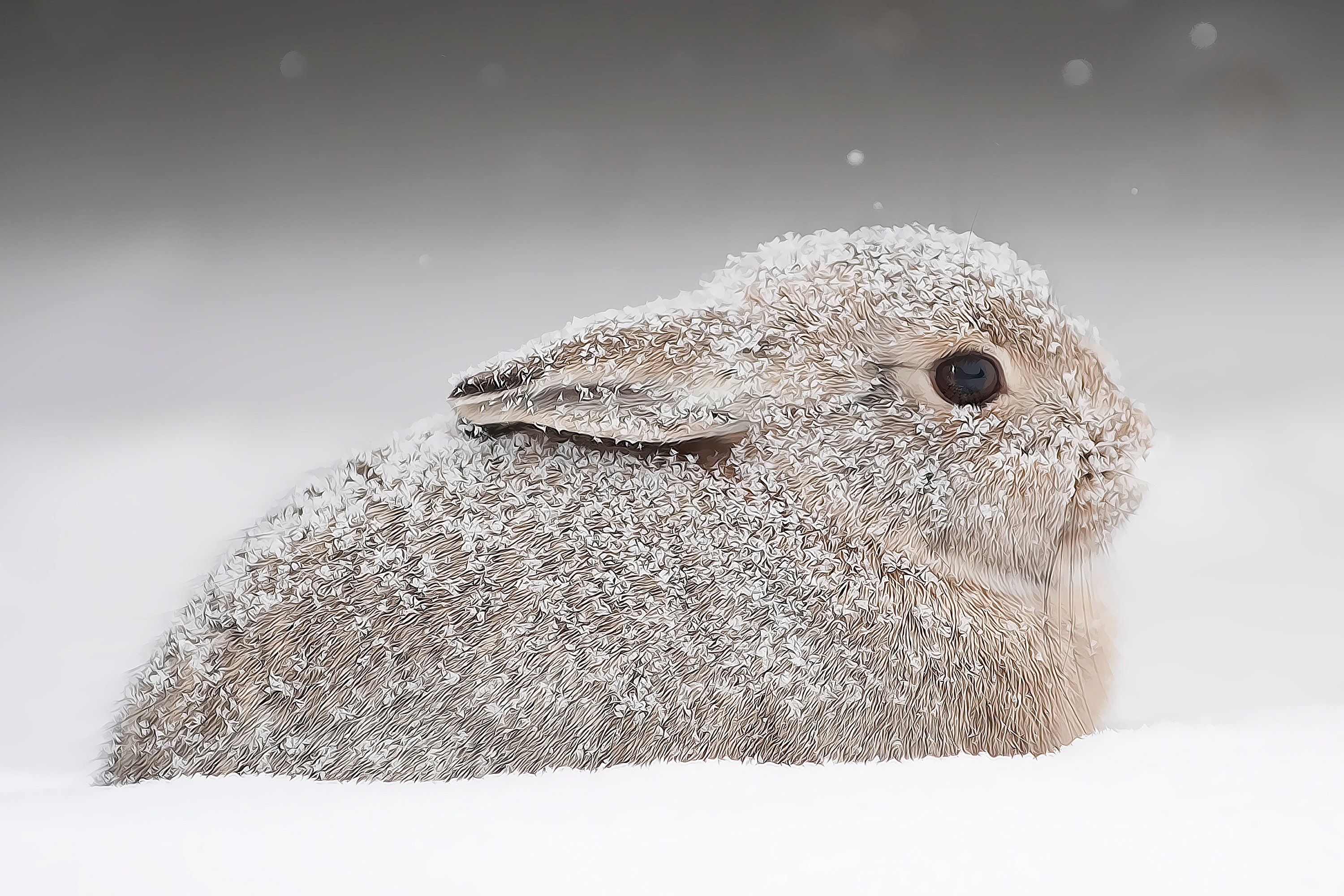 Snowbunny - Etsy