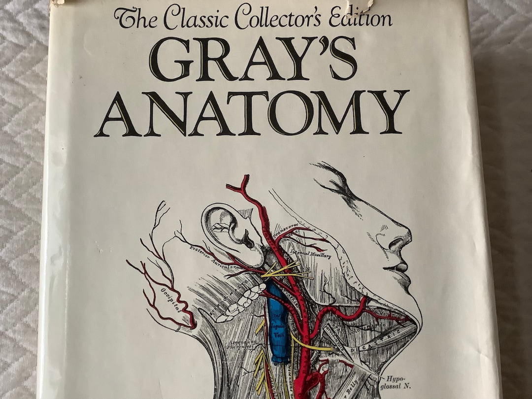 1977/GRAYS ANATOMY/ 780 Illustrations With 172 in Color/ 1257 - Etsy