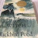 1958/ FIRST EDITION-17 Printing/ the Witch of Blackbird Pond/ Elizabeth ...