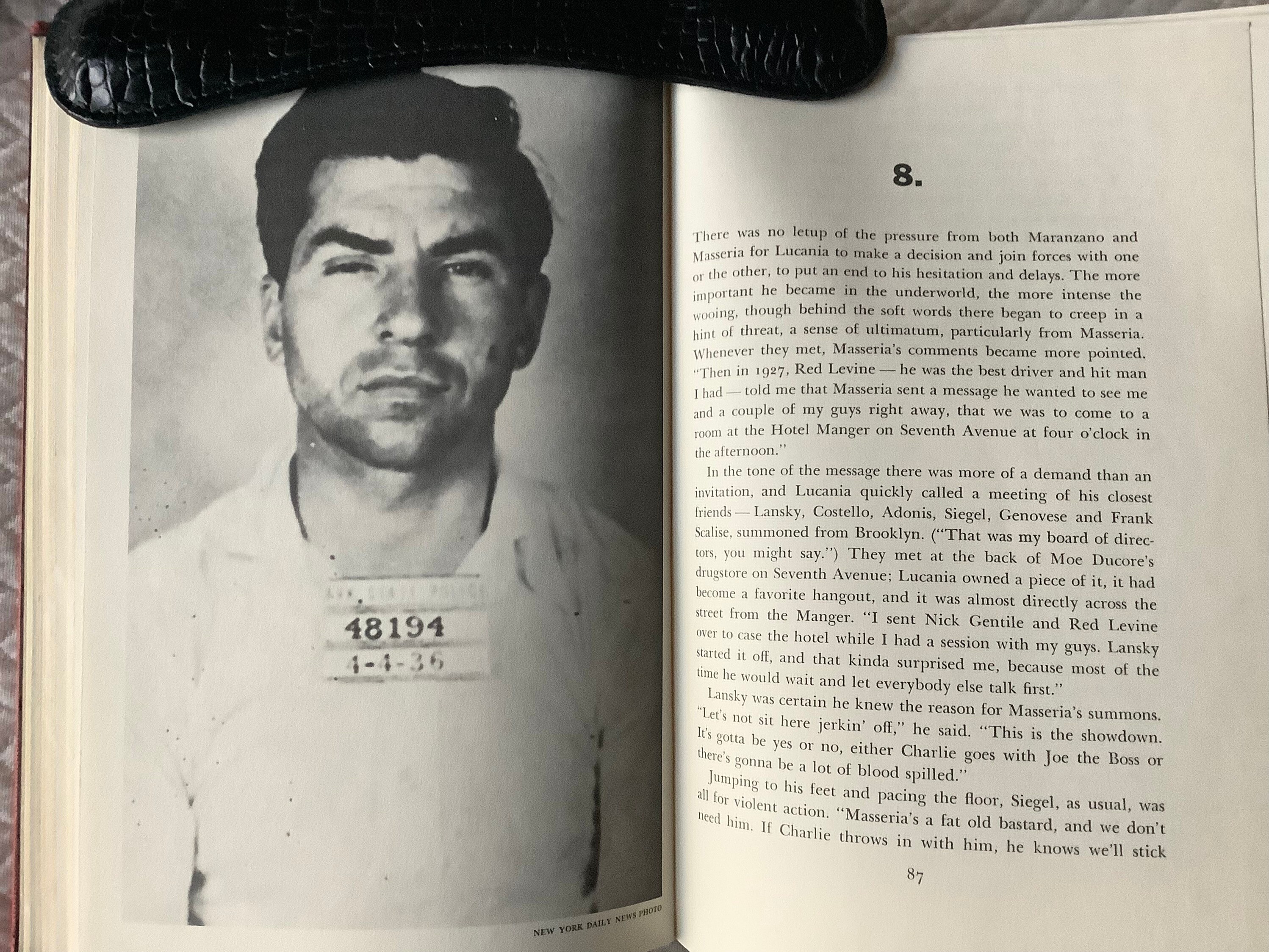 1975/ MAFIA Addict? - This is One of the BEST Books to Read/ 461 Pg ...