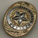 The State of TEXAS Gold Silver Color Solid Brass Belt Buckle Vintage ...