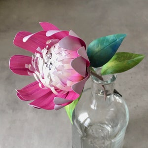 Paper Protea Flower Printable Templates - Etsy