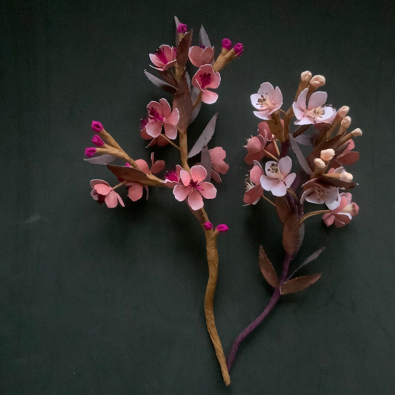 Cherry Printable Blossom Templates and Tutorial, Sakura Flowers PNG ...