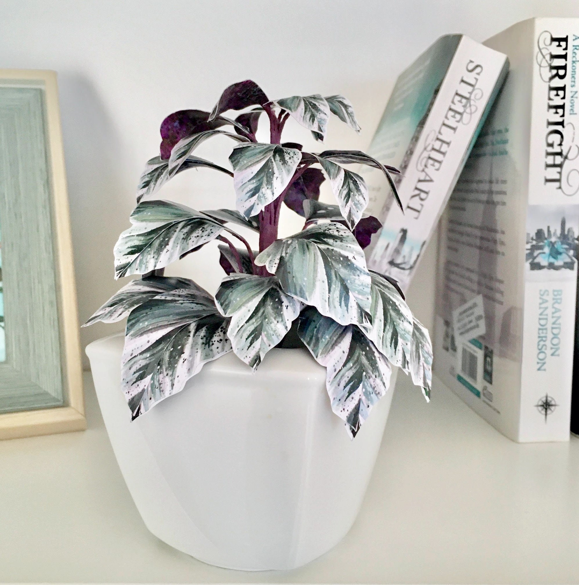 Variegated Paper Plant Templates Instructions, Kids Crafts, Home and ...