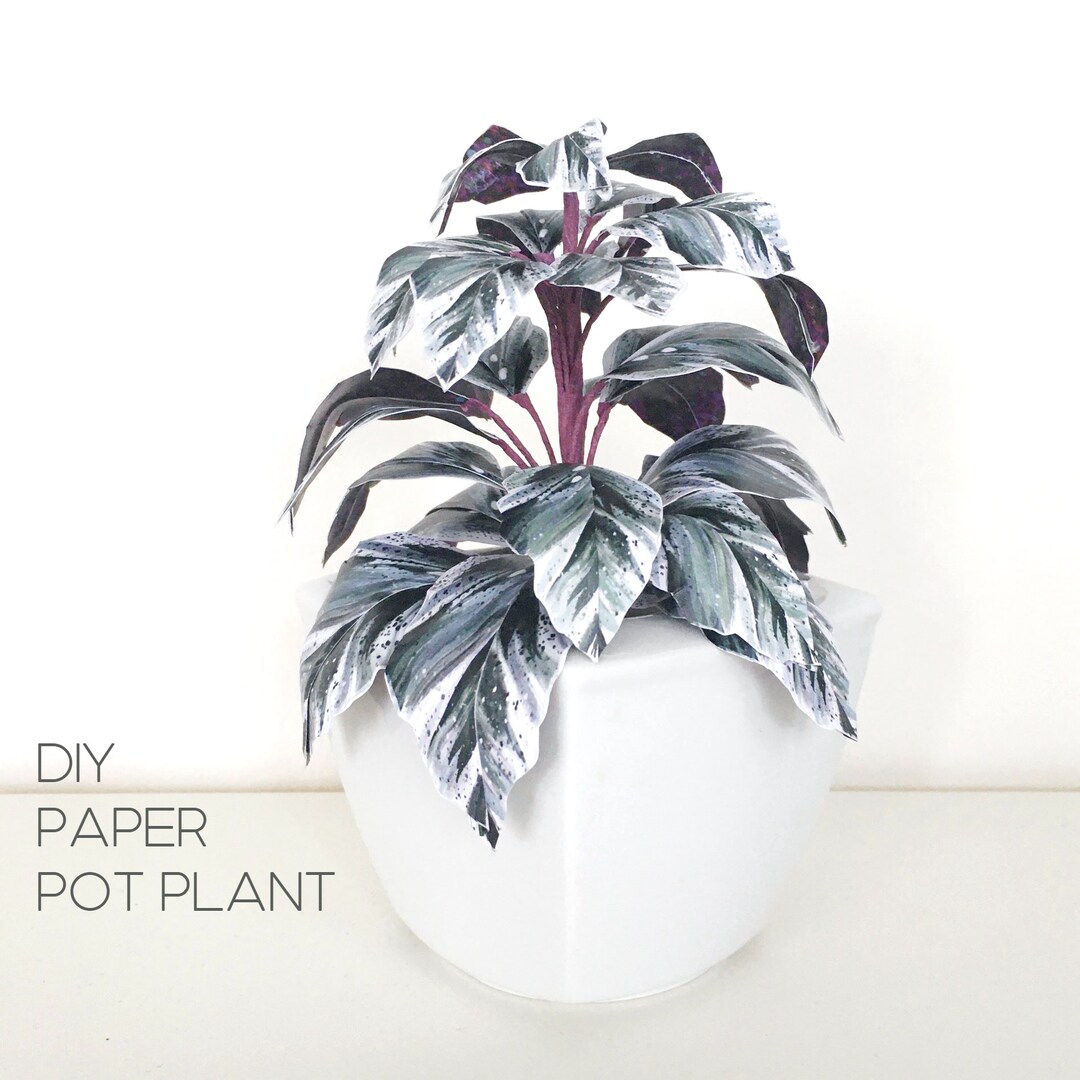 Variegated Paper Plant Templates Instructions Kids - Etsy