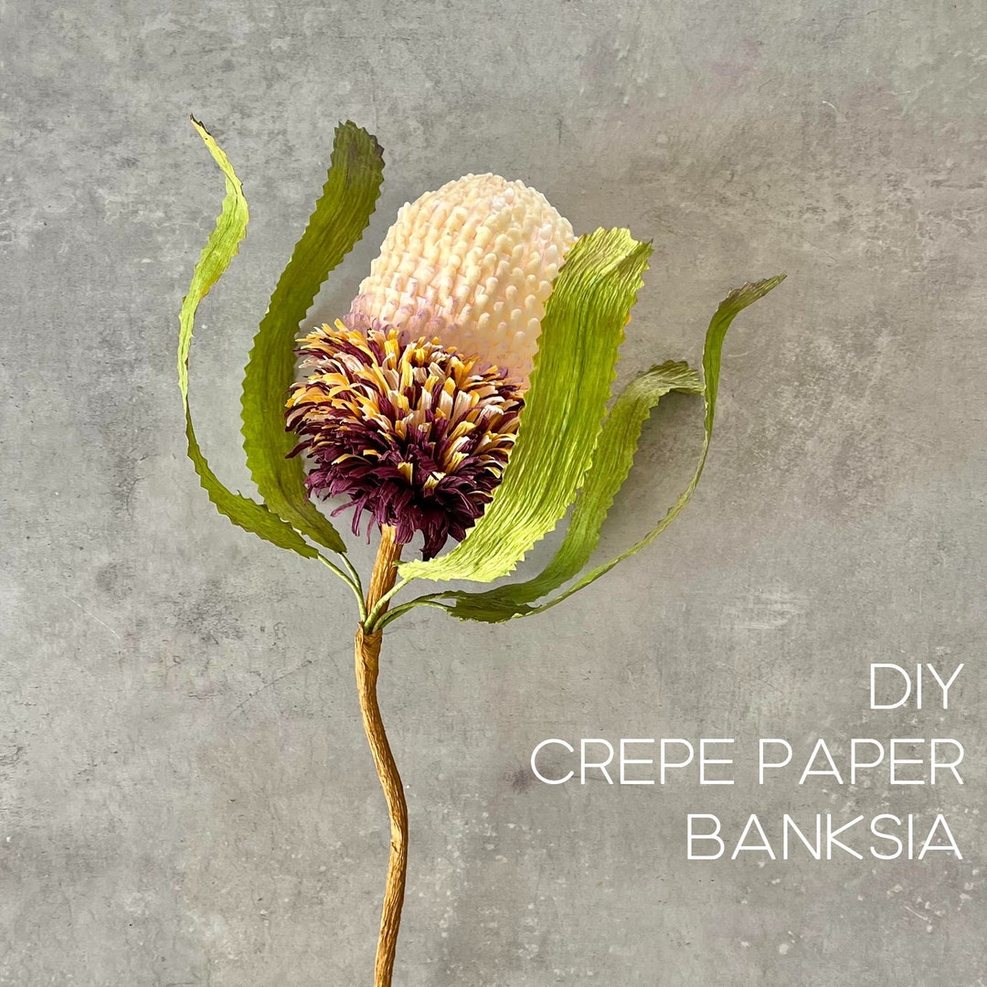 Crepe Paper Banksia Protea Flower Tutorial Artificial - Etsy