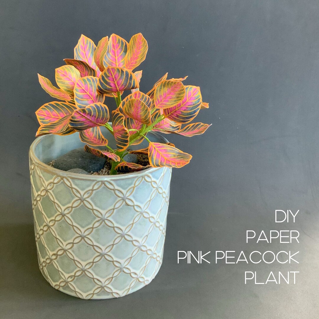 Pink Peacock Paper Plant - Printable Templates + DIY Step-by-step ...