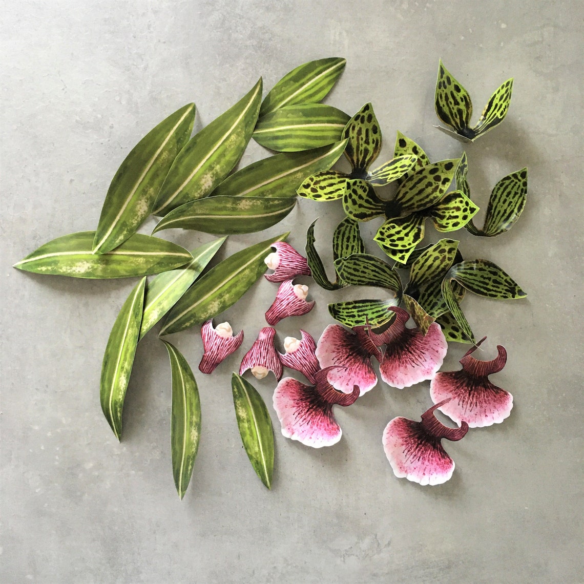 Paper Orchid Printable Tutorial and Templates DIY Flower | Etsy UK