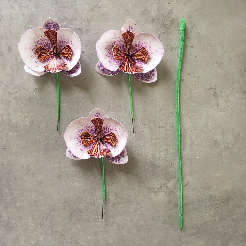 DIY Paper Vanda Orchid Printable Templates Tutorial - Etsy Australia