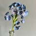 Paper Forget-me-not Bouquet, Wildflower Decoration Templates and ...