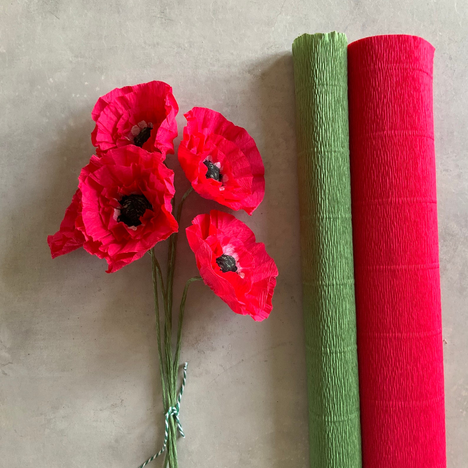 Easy and Fast Crepe Paper Poppy Tutorial Family Craft - Etsy