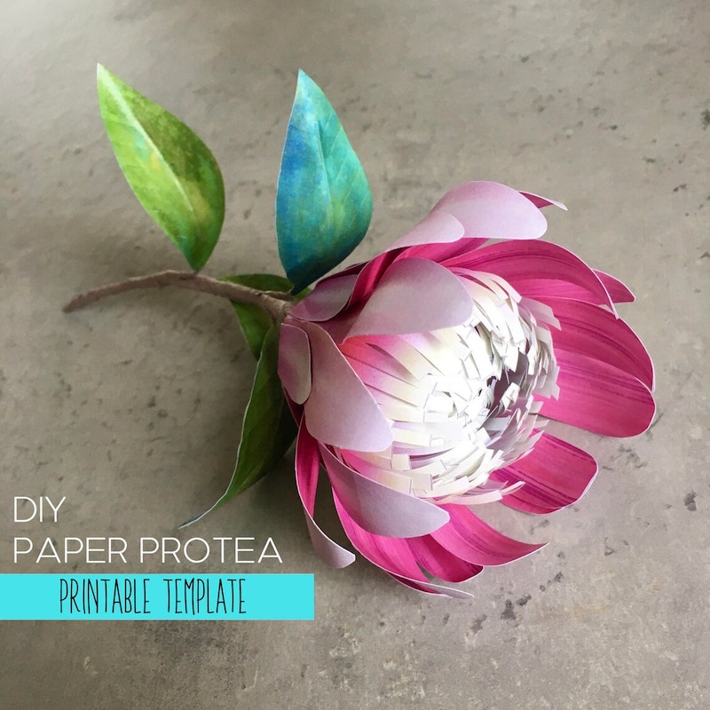 Protea Bouquet Printable - Etsy UK