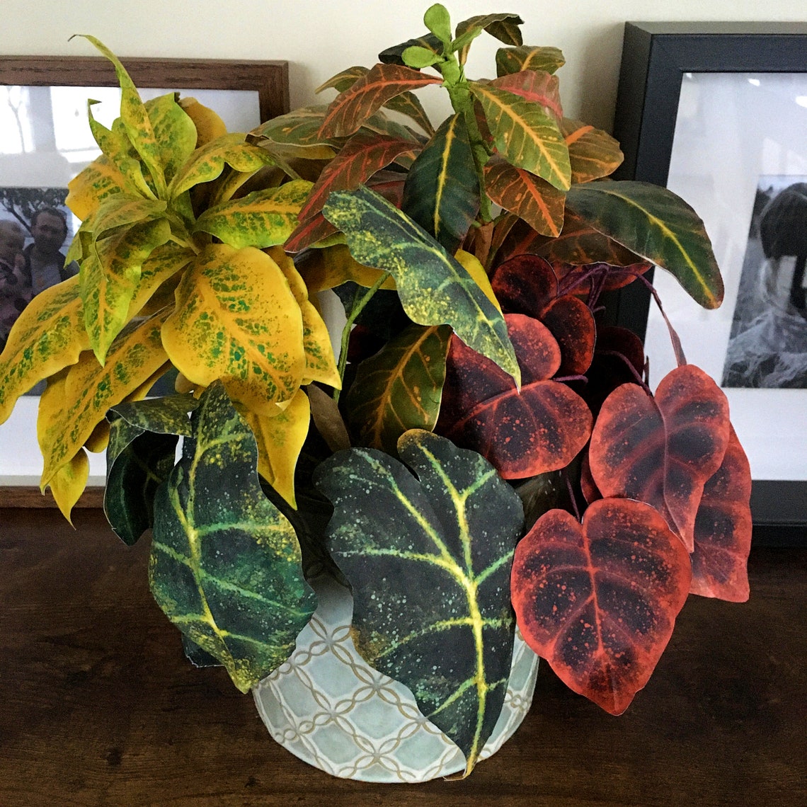 Paper Croton Plant Templates and Instructions Home - Etsy