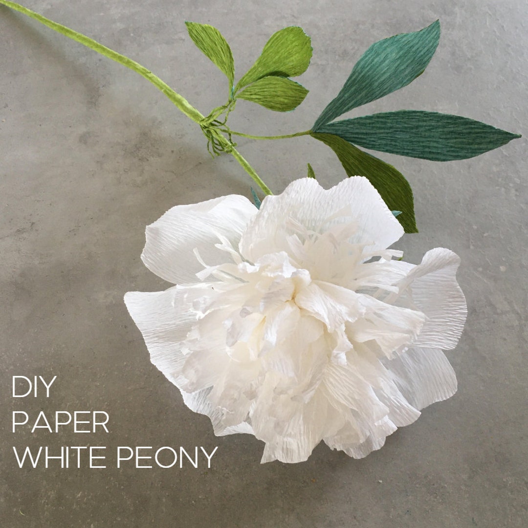 Gentle White Crepe Paper Peony Flower - Step by Step Instruction With ...