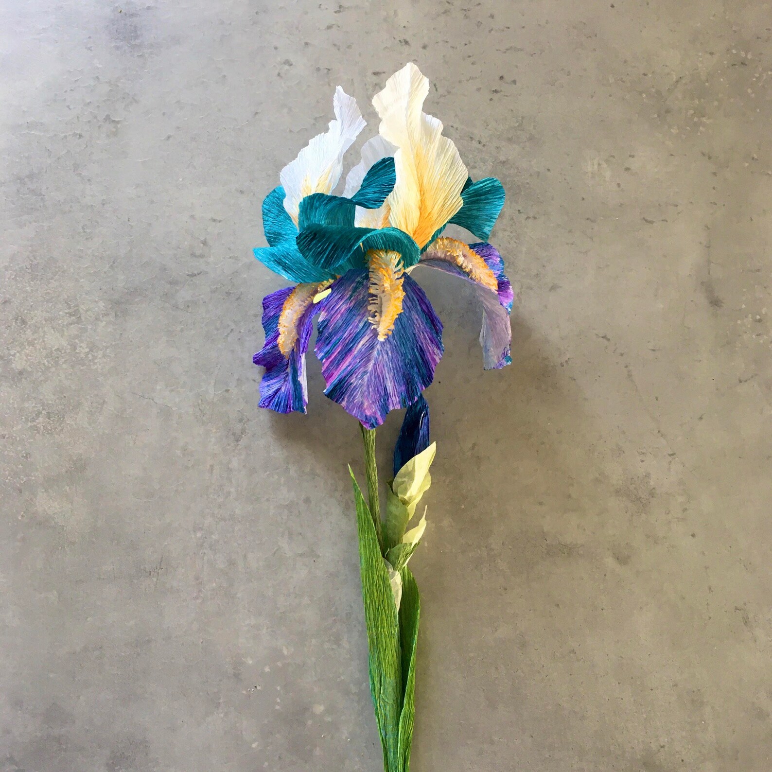 Crepe Paper Iris Flower - Tutorial and Printable Templates - Etsy