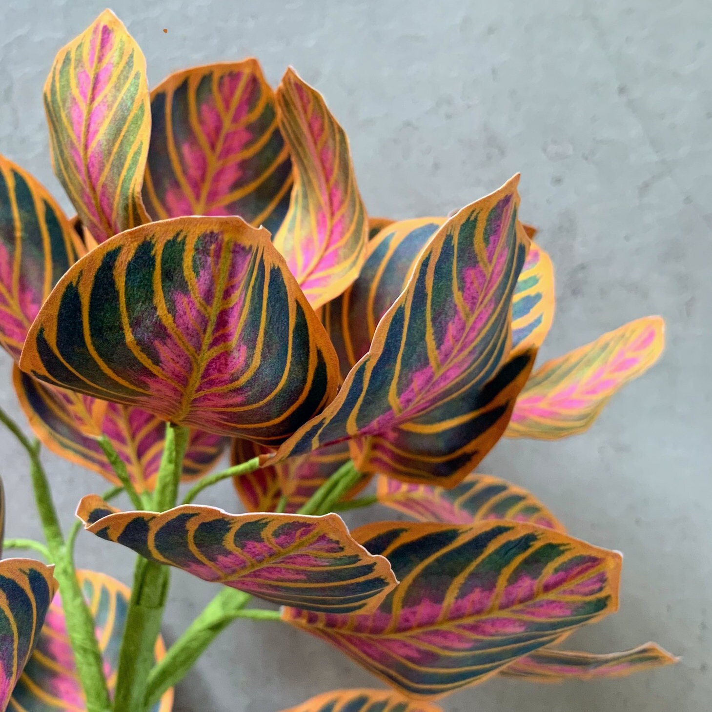 Pink Peacock Paper Plant - Printable Templates + DIY Step-by-step ...