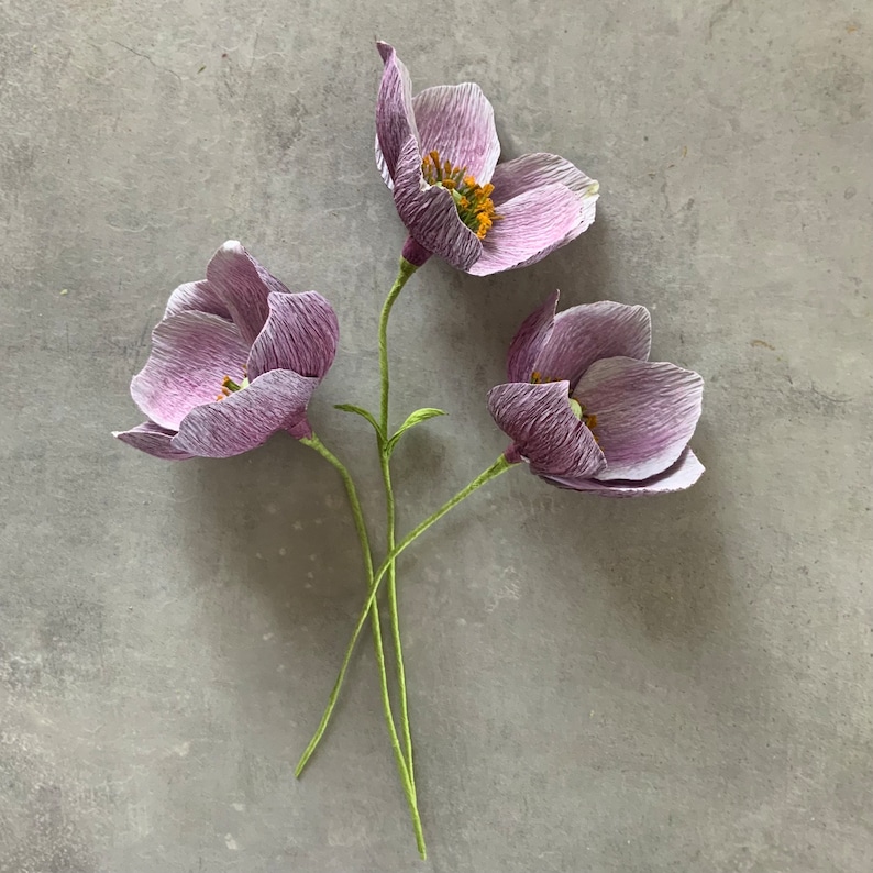 Crepe Paper Anemone Flowers Tutorial Templates Book - Etsy