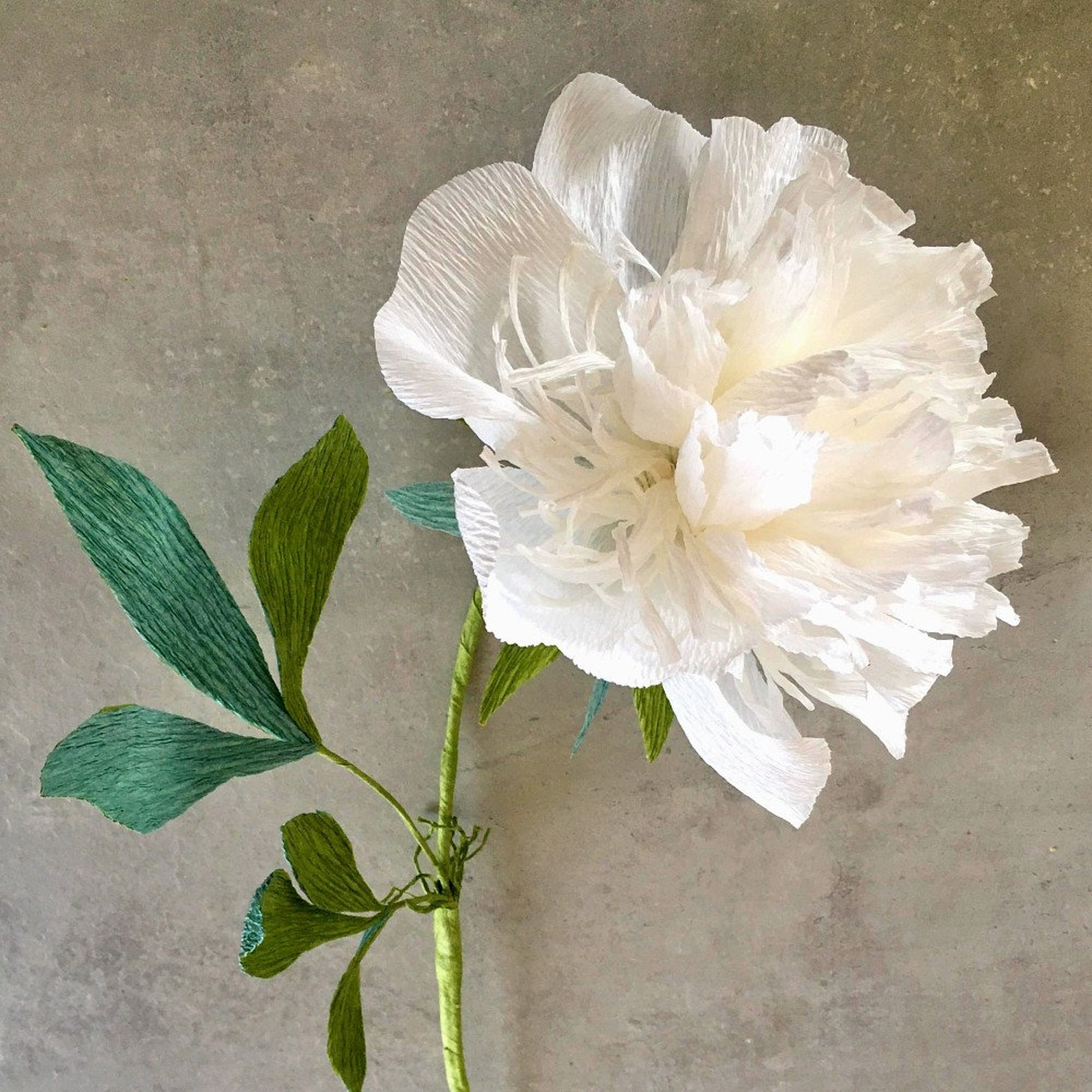 Gentle White Crepe Paper Peony Flower Step by Step - Etsy