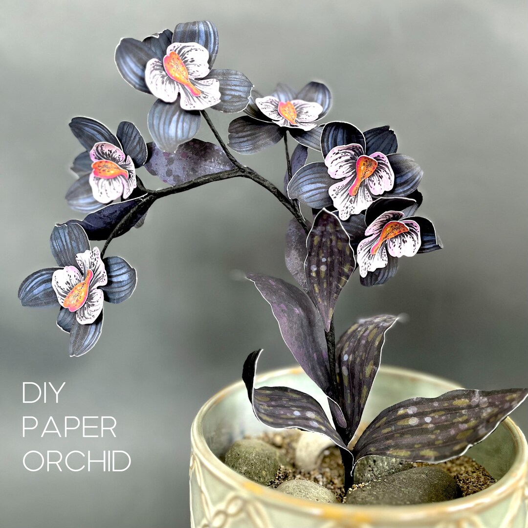 Black and Pink Paper Orchid: DIY Craft Template (PDF Download, Cricut ...