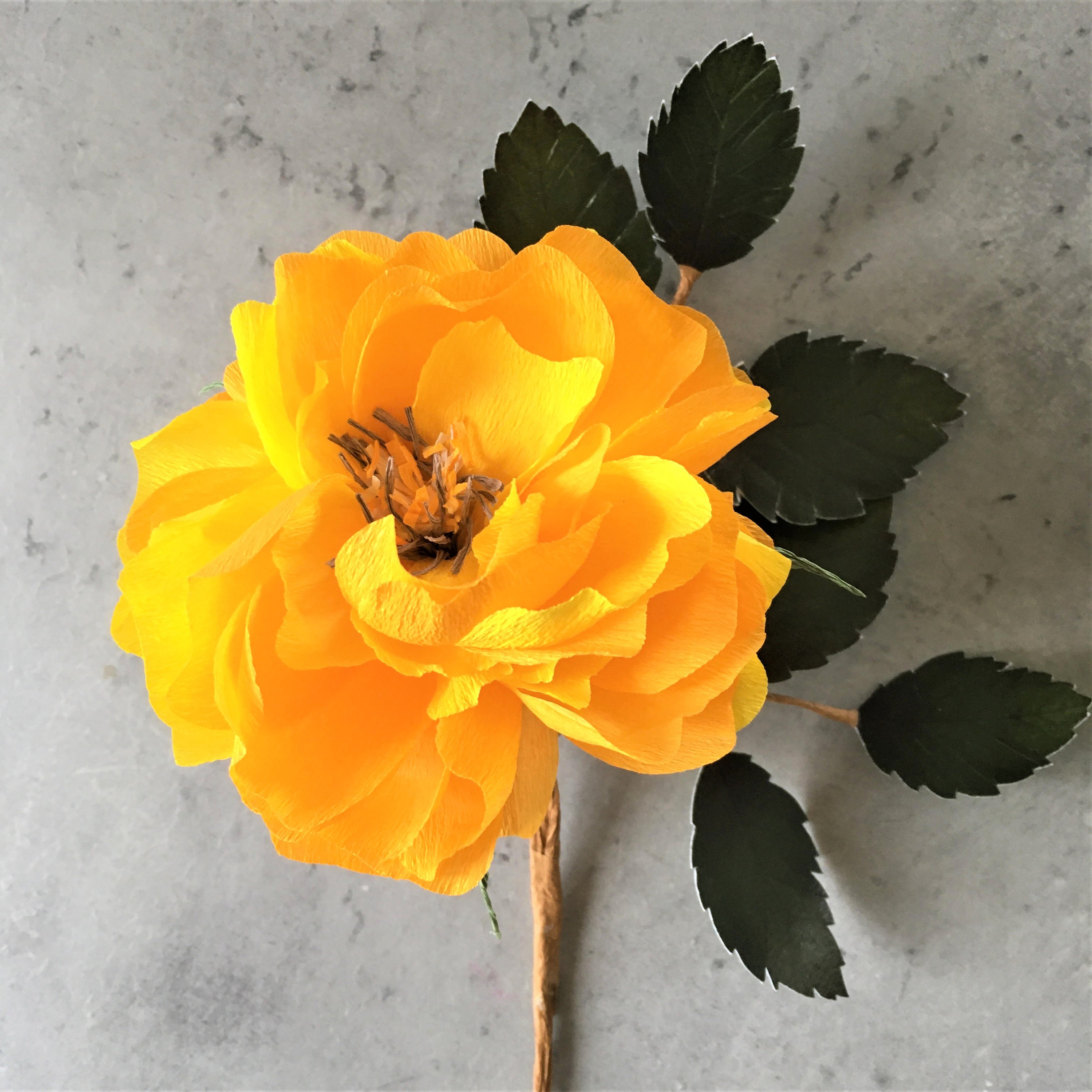 Crepe Paper Rose Tutorial + Printable Templates + SVG Files - Etsy