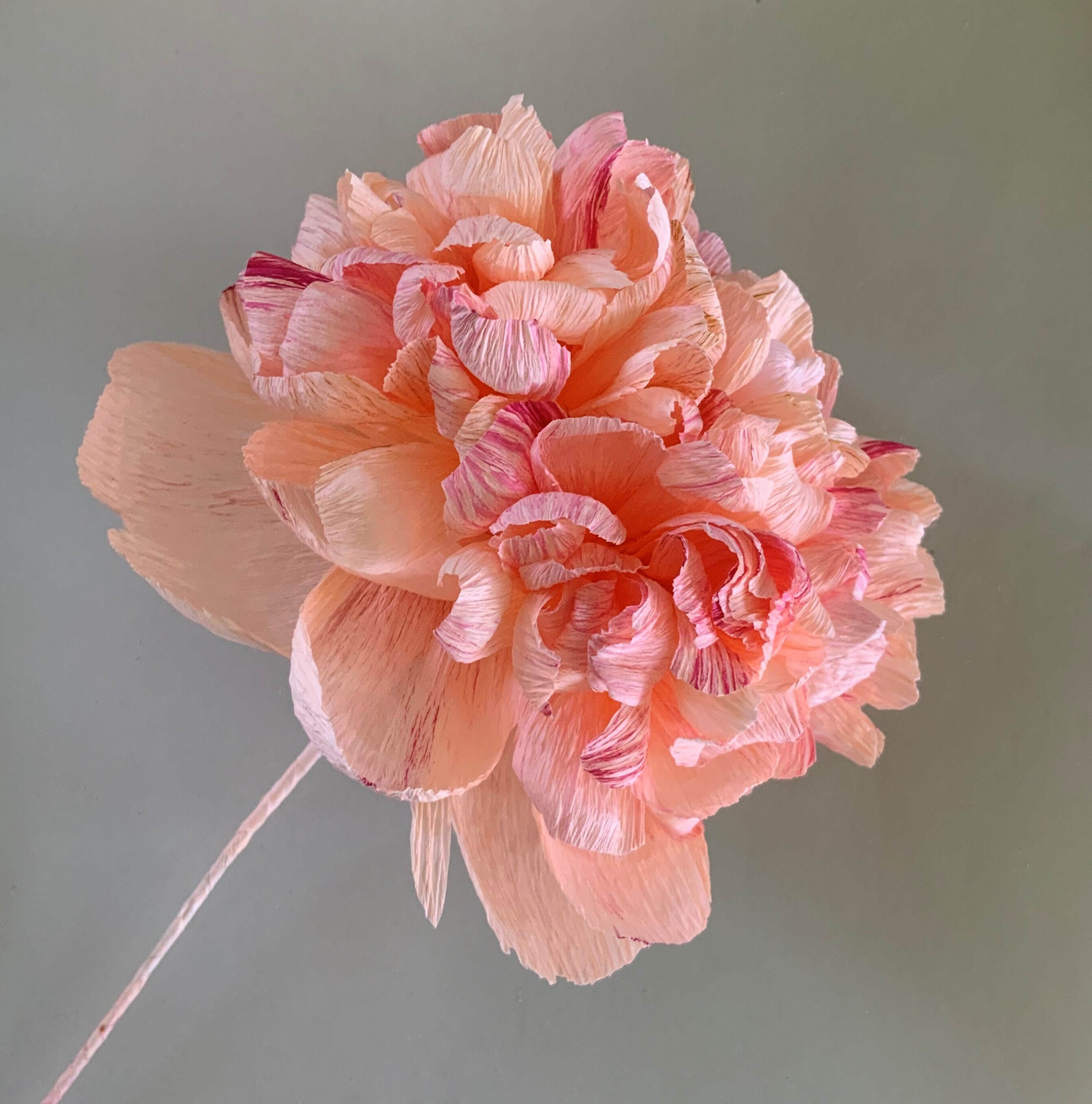 Crepe Paper Peony Tutorial, Home Decoration Project Supply - Etsy