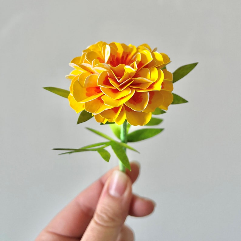 Paper Marigold Flower - Templates and Cricut Files - Etsy