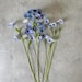 Paper Forget-me-not Bouquet Wildflower Decoration Templates - Etsy