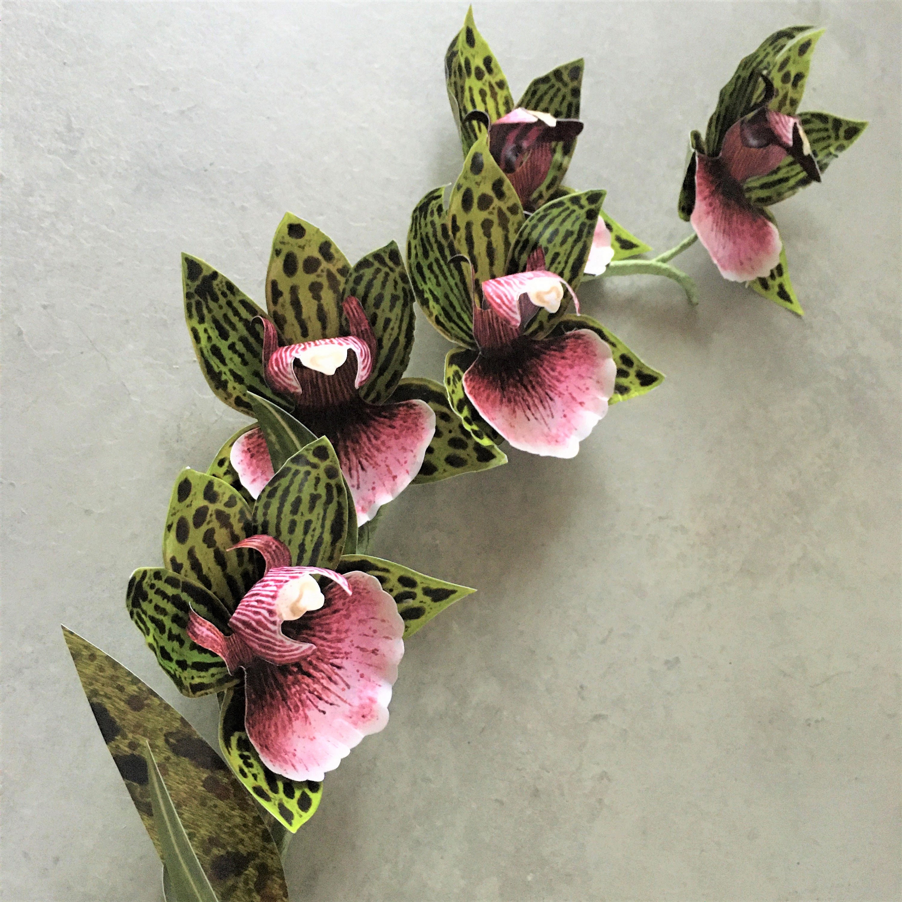 Paper Orchid Printable Tutorial and Templates DIY Flower | Etsy UK