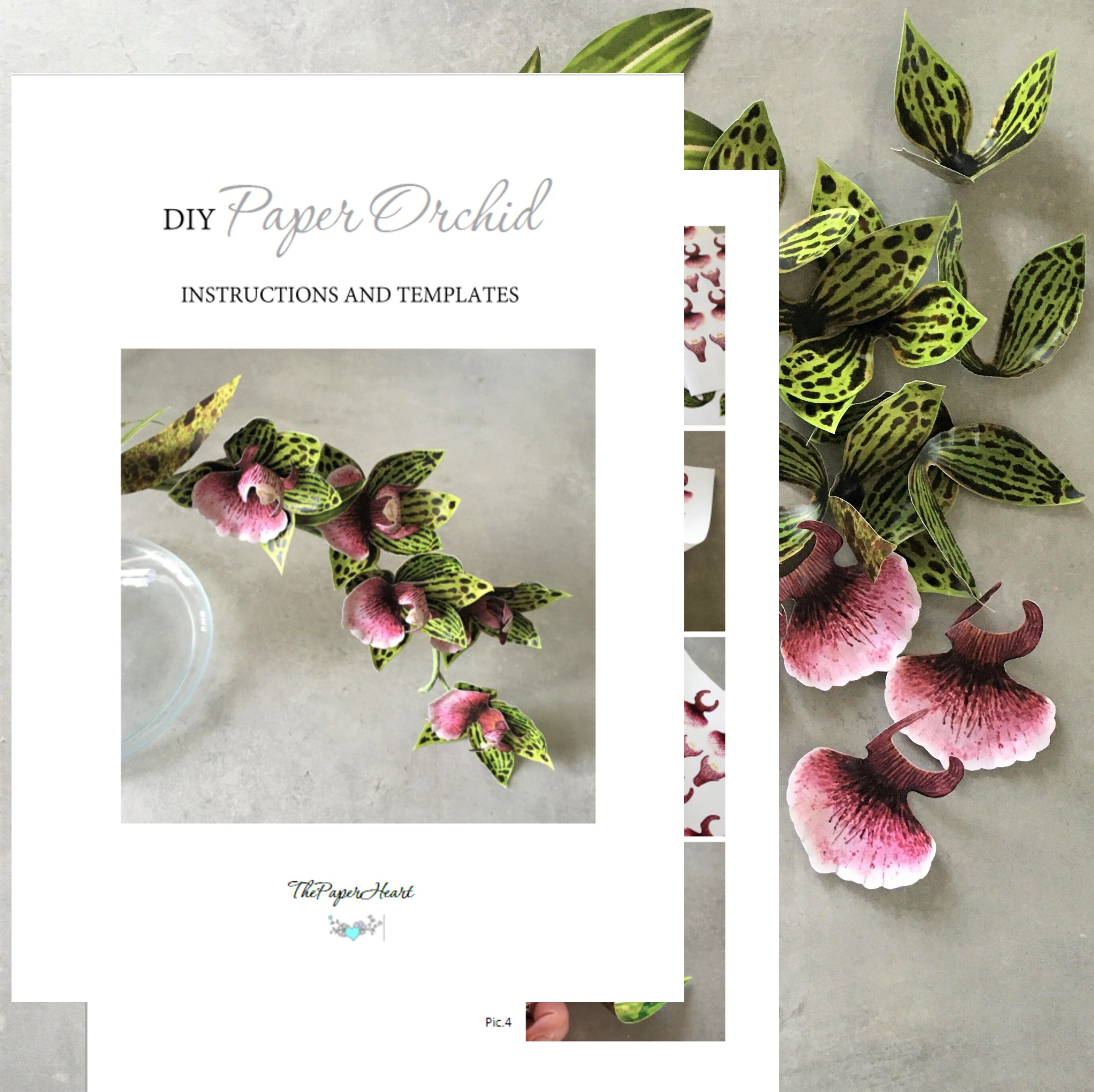Paper Orchid Printable Tutorial and Templates, DIY Flower Decoration ...