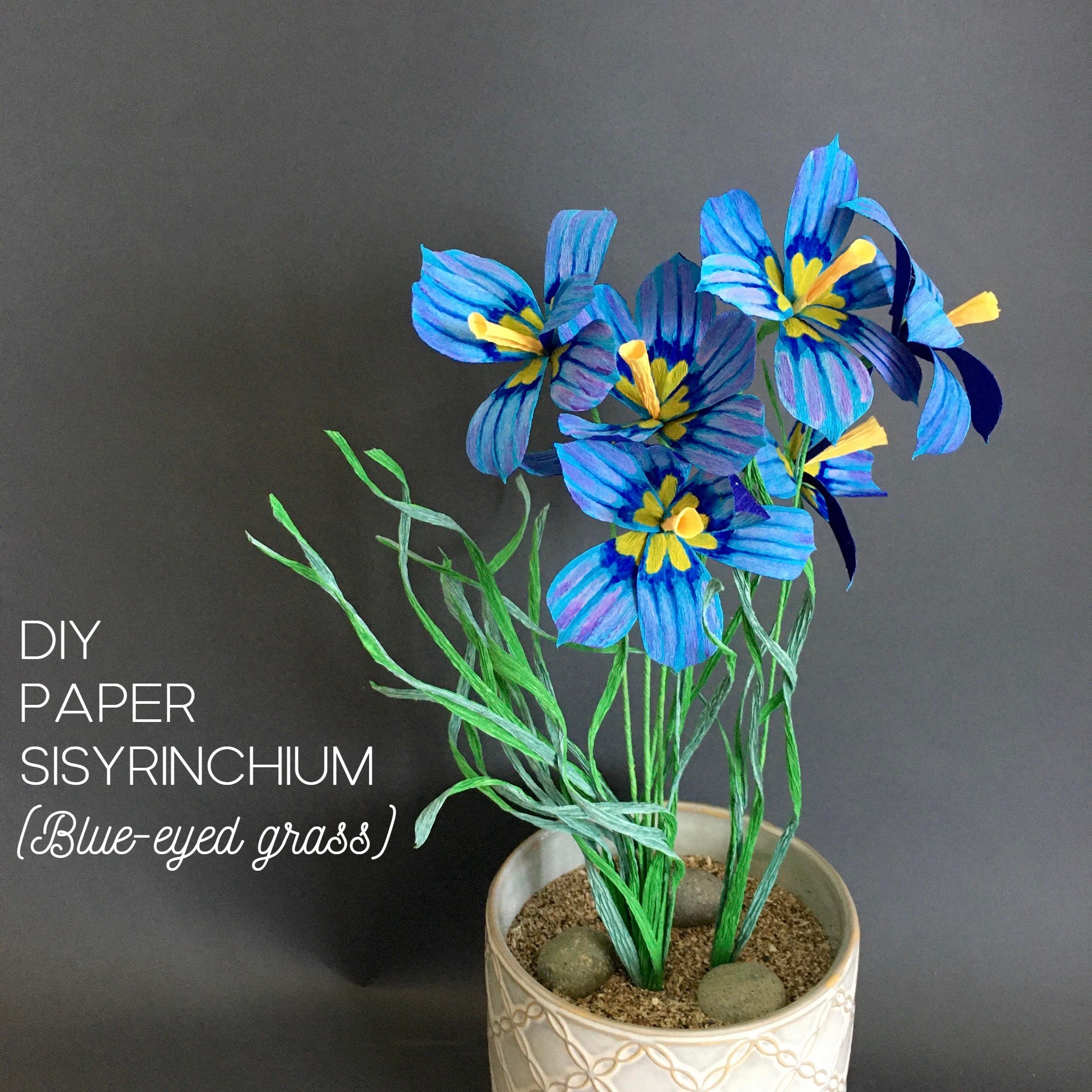Crepe Paper Blue Wildflower Step by Step Tutorial Templates - Etsy