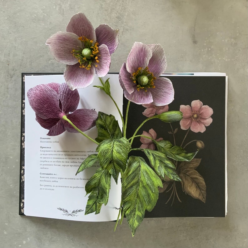 Crepe Paper Anemone Flowers Tutorial Templates Book - Etsy