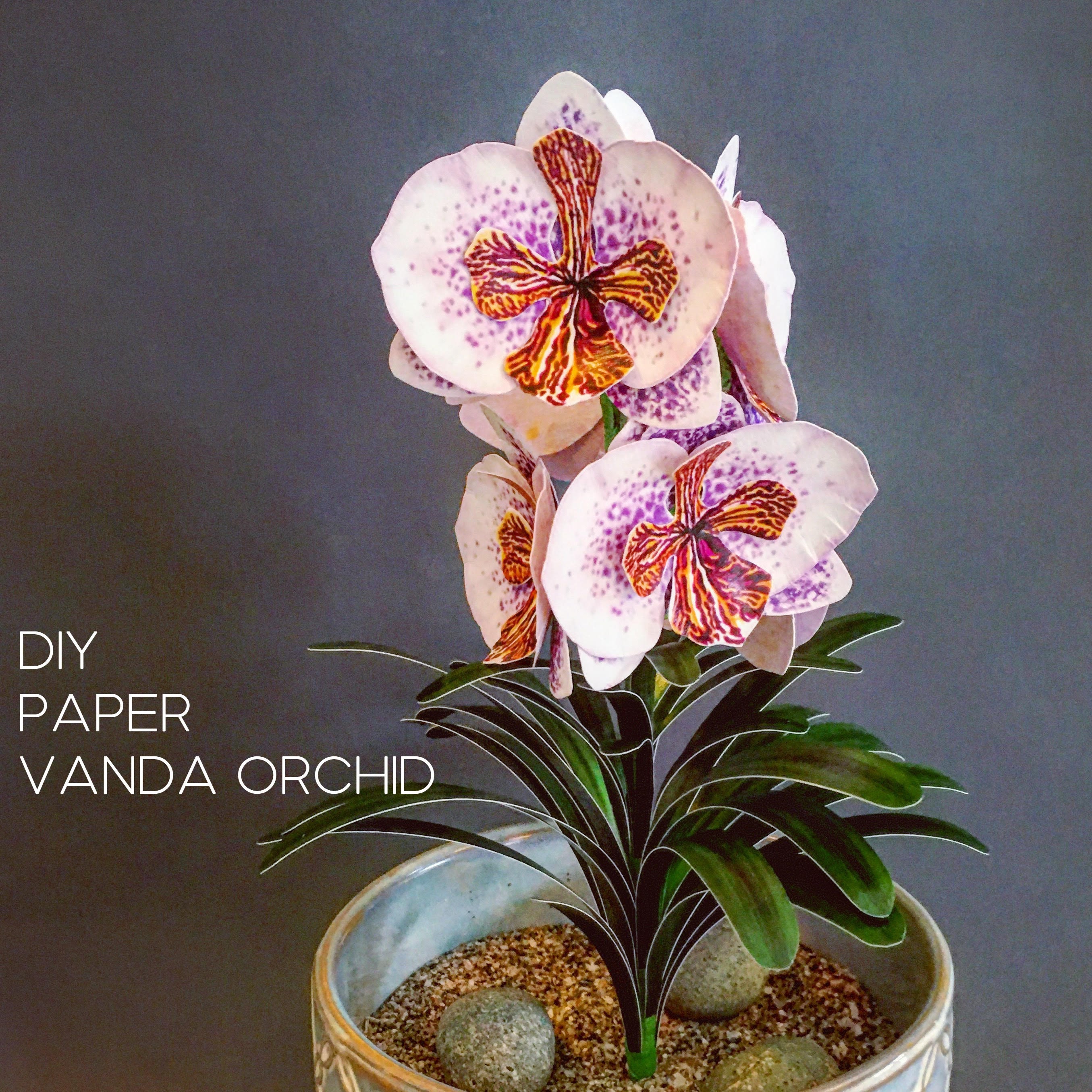 DIY Paper Vanda Orchid Printable Templates Tutorial - Etsy Australia