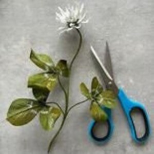 Crepe Paper Clover Flower Tutorial for Beginners, DIY Clover Printable ...