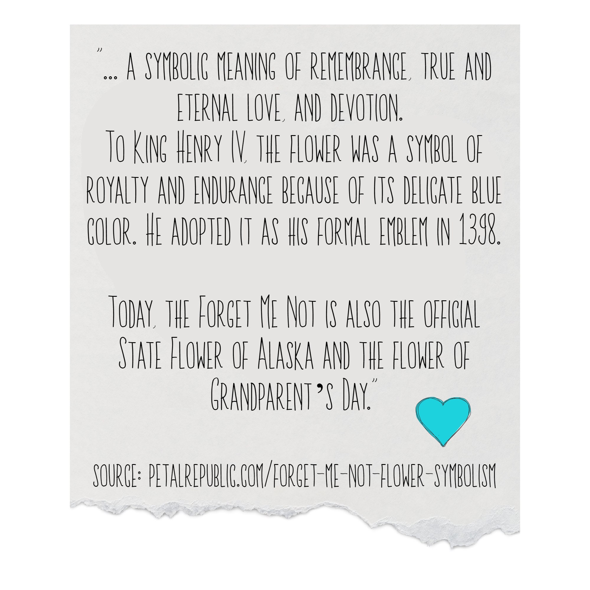 Paper Forget-me-not Bouquet Wildflower Decoration Templates - Etsy