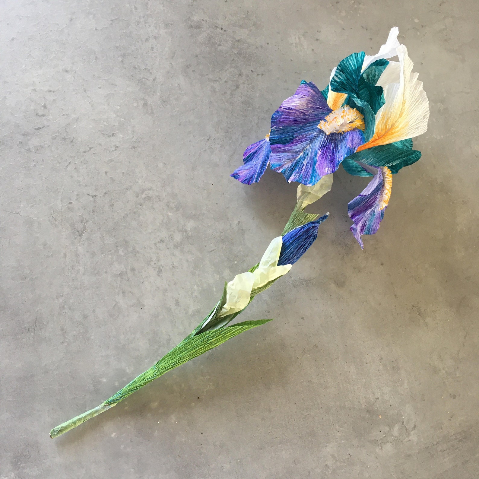 Crepe Paper Iris Flower - Tutorial and Printable Templates - Etsy