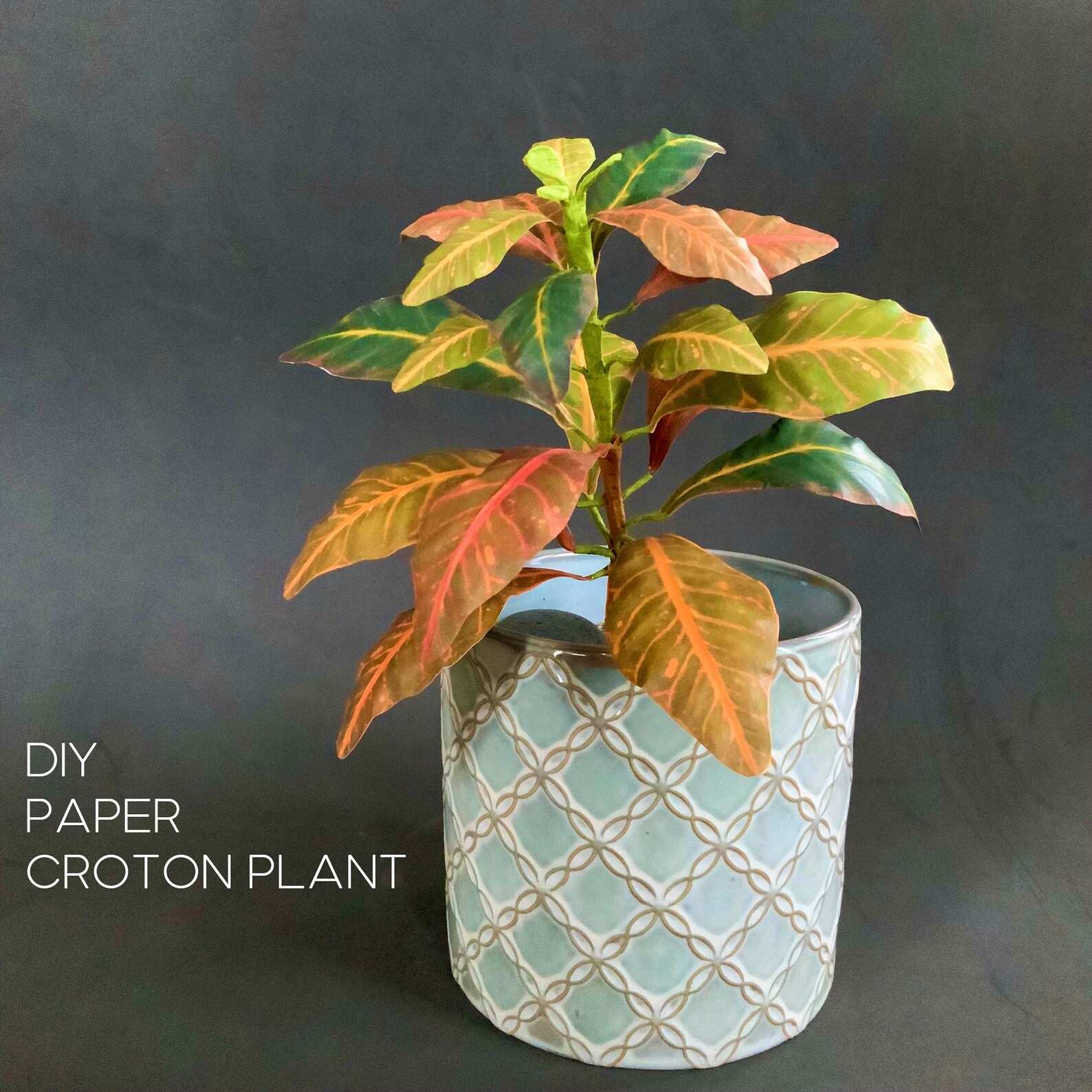 Paper Croton Plant Templates and Instructions Home - Etsy