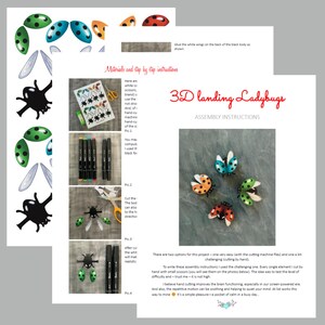 Set of 4 3D Paper Ladybugs - Printable Templates and Cricut Files ...