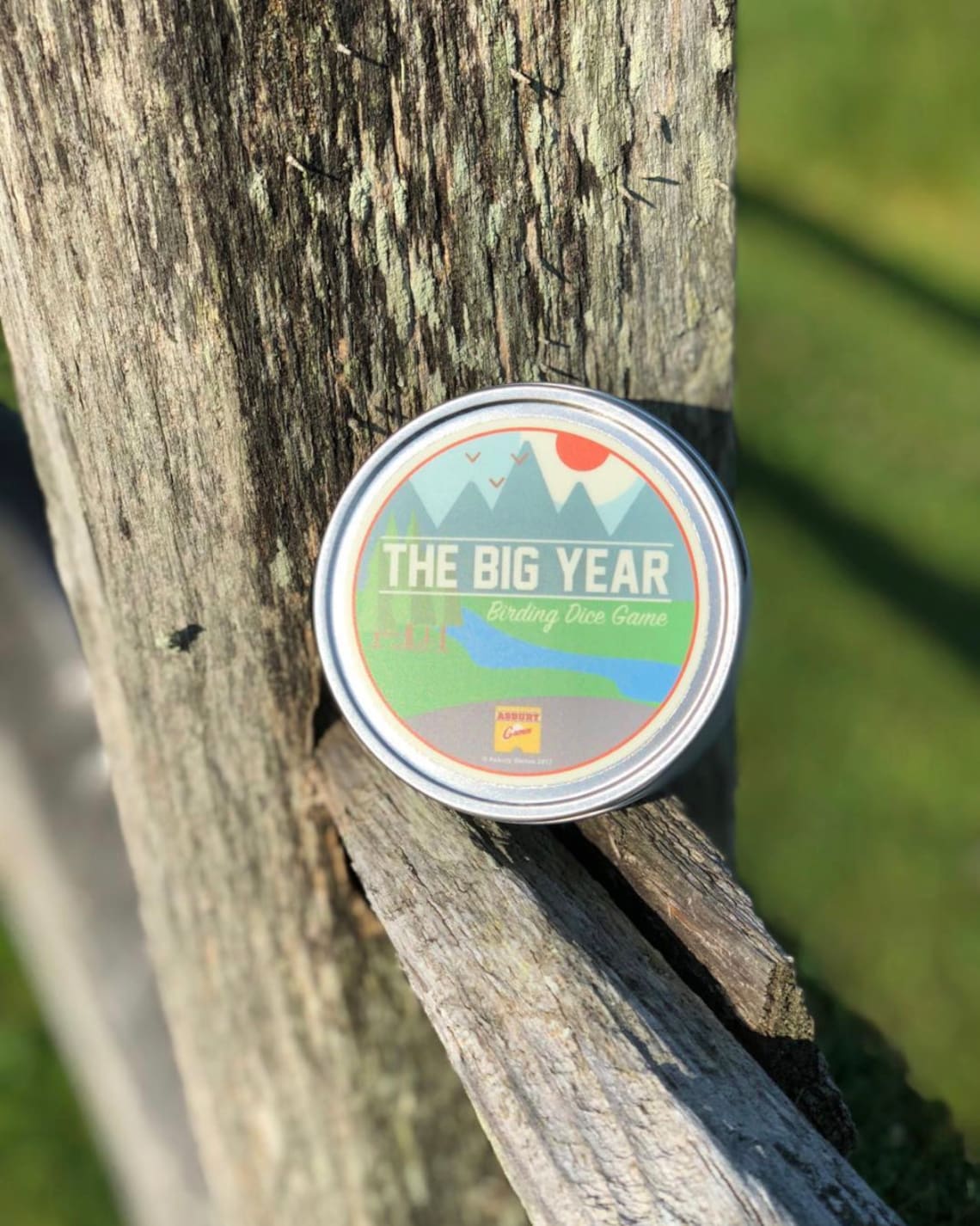 Bird Watching Dice Game | the Big Year Birding Dice Game | Pocket Size ...