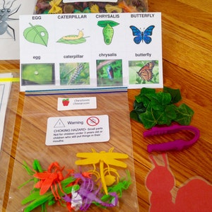 Sensory Bin and Educational Activities- Butterflies and Other Insects ...